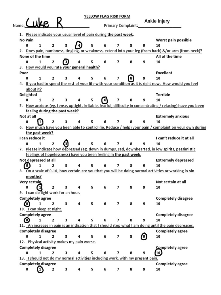 Yellow Flag Risk Form | PDF | Depression (Mood) | Emotions