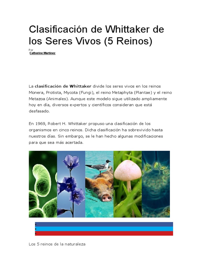 Clasificación de Whittaker de Los Seres Vivos | PDF | Taxa | Organismos