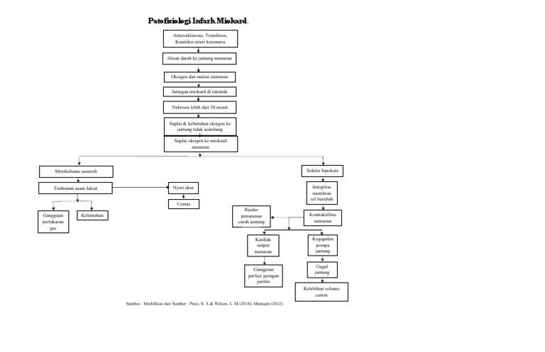 Patofisiologi Infark Miokard | PDF