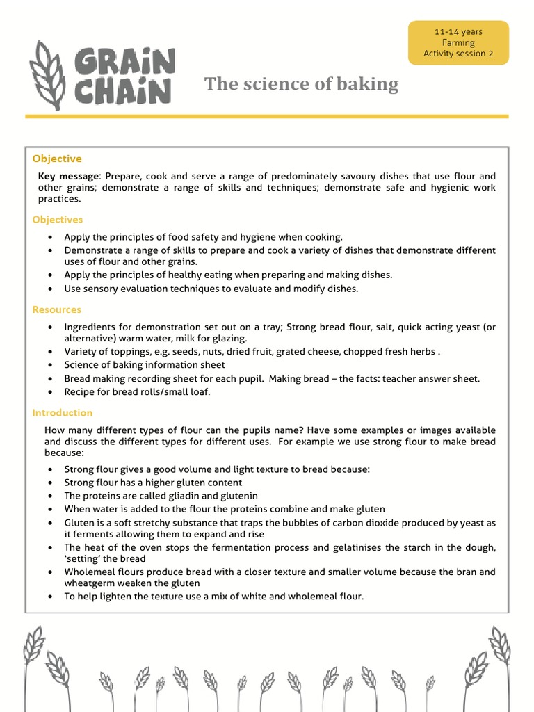 Bread Baking Science for Kids | PDF | Flour | Breads