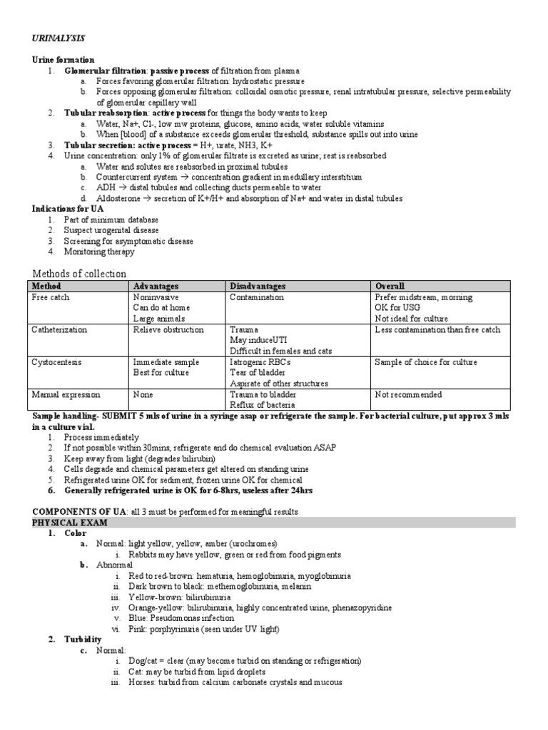 Clin Path - Urinalysis | PDF | Urinary System | Medical Specialties