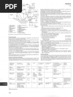 Neufert COCINA PDF | PDF