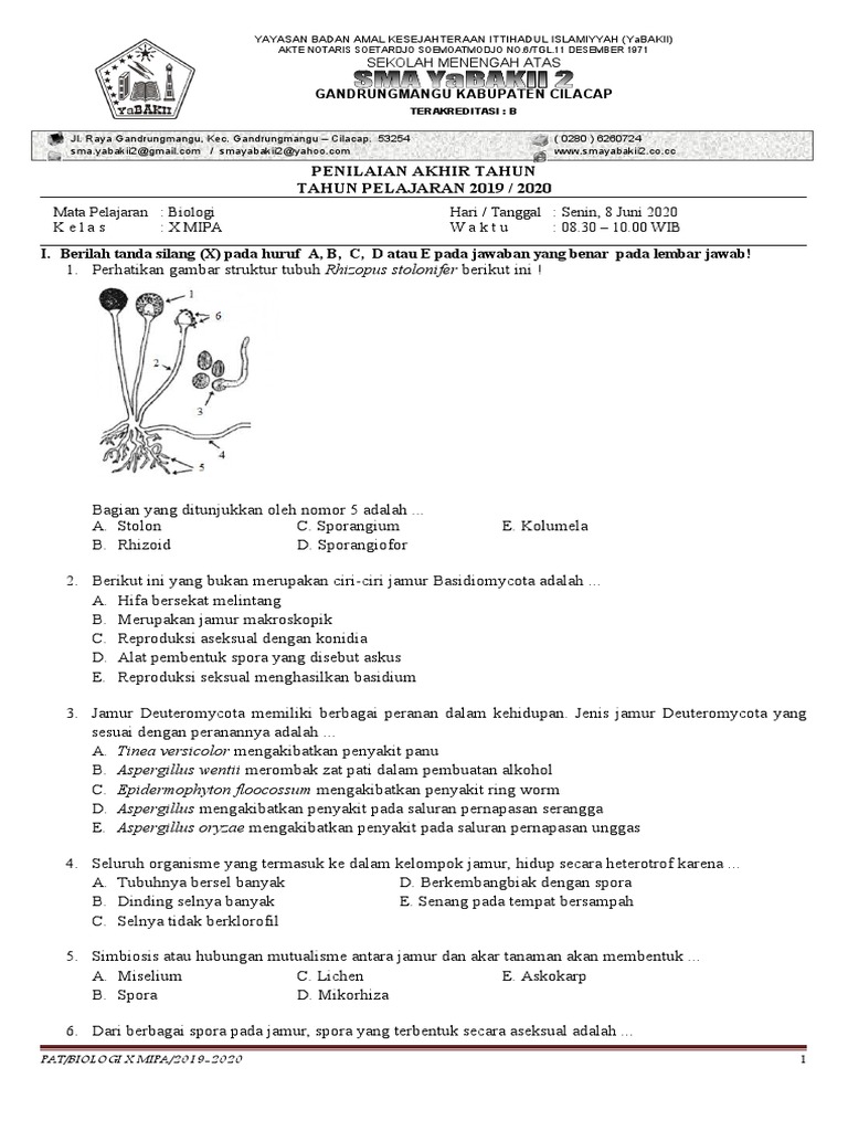 Ujian Biologi Kelas X MIPA | PDF