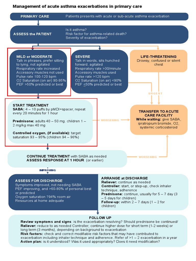 Acute Asthma Exacerbation Management Guide | PDF | Asthma | Cell Biology