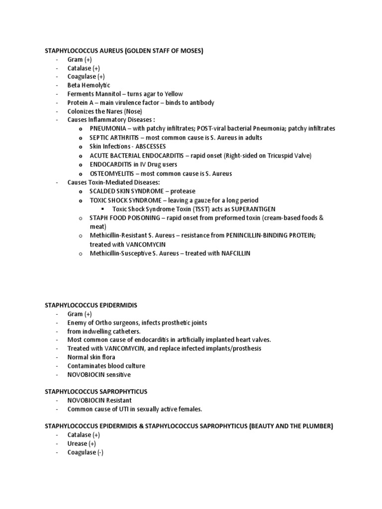 Sketchy Word | PDF | Staphylococcus Aureus | Streptococcus
