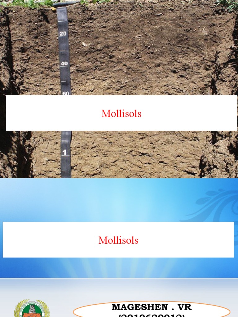 Characteristics and Distribution of Mollisols | PDF | Soil ...