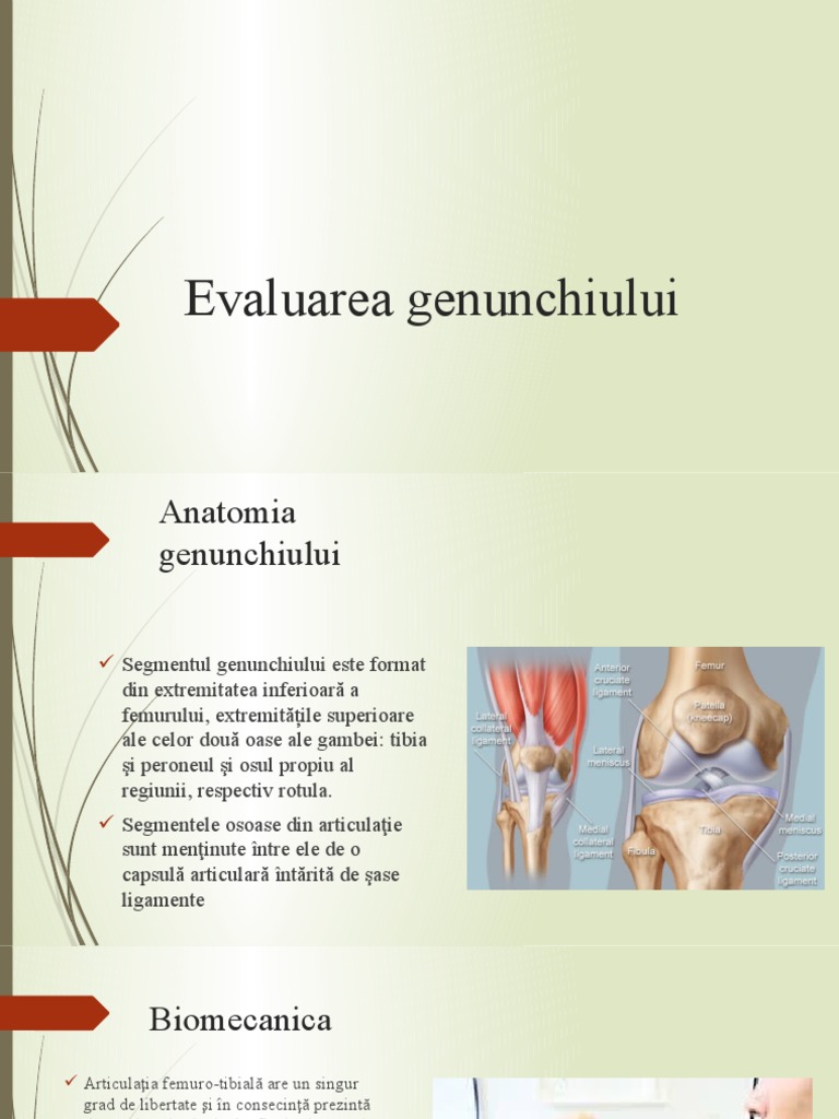 Evaluarea Genunchiului | PDF