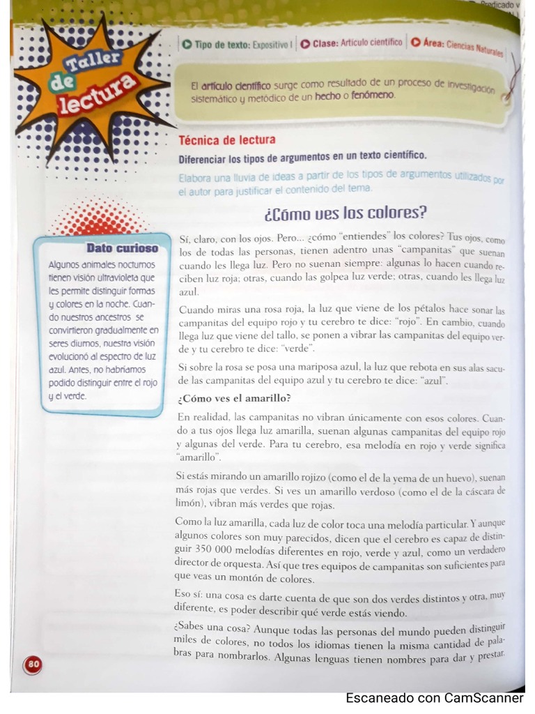 ¿Cómo Ves Los Colores | PDF