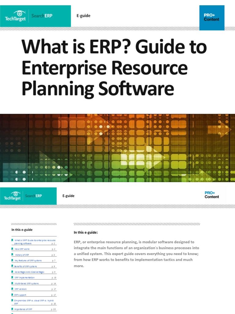 What Is ERP? Guide To Enterprise Resource Planning Software | PDF ...