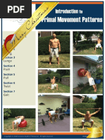 7 Primal Movement Patterns For Full Body Strength | PDF | Vertebral ...