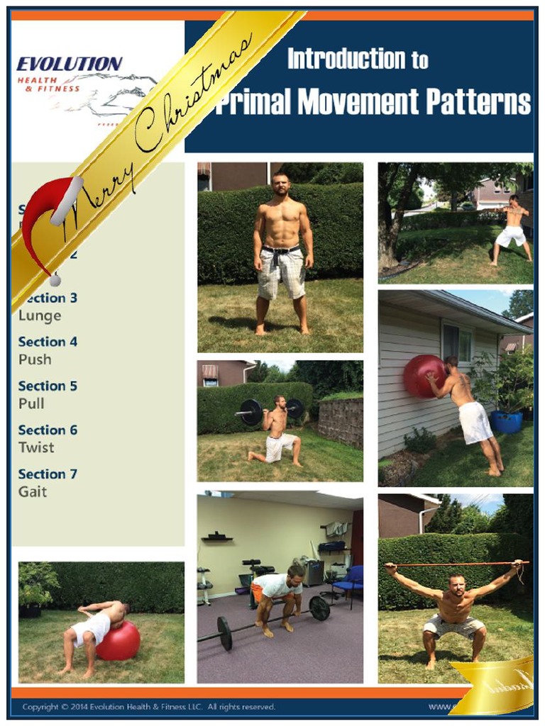 7 Primal Movement Patterns: All Rights Reserved | PDF | Shoulder ...