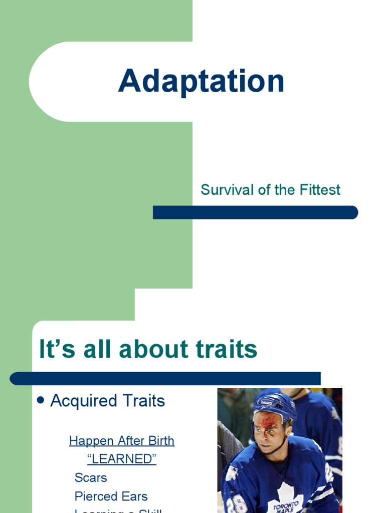 Adaptation: Survival of The Fittest | PDF | Adaptation | Charles Darwin