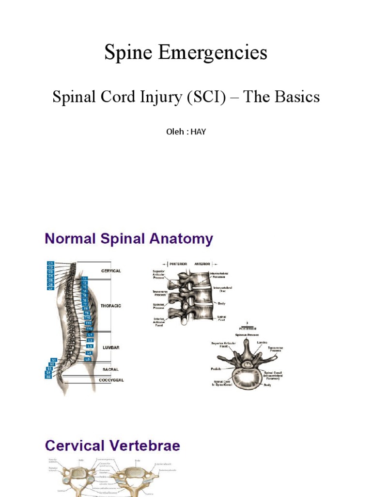 Spine Emergencies | PDF | Spinal Cord Injury | Vertebral Column