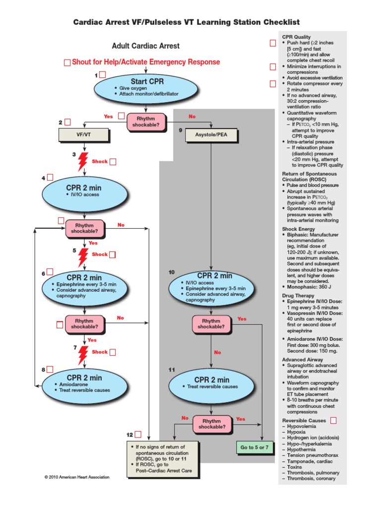 Cardiac Arrest VF/Pulseless VT Learning Station Checklist | PDF ...