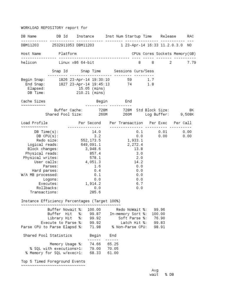 WORKLOAD REPOSITORY REPORT | PDF | Cache (Computing) | Thread (Computing)