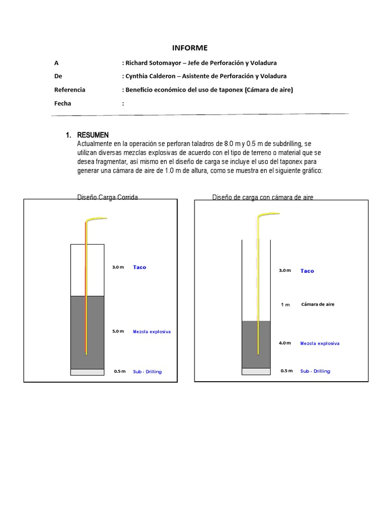 Informe Ahorro Taponex | PDF | Peligros | Materiales