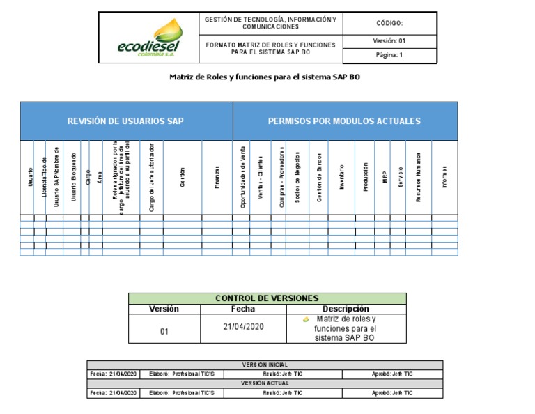 Matriz De Roles Y Responsabilidades