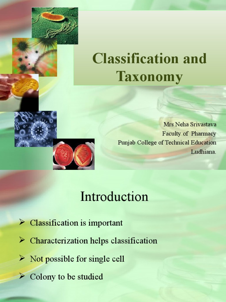 Bacterial and Viral Classification Overview | PDF | Virus | Bacteria
