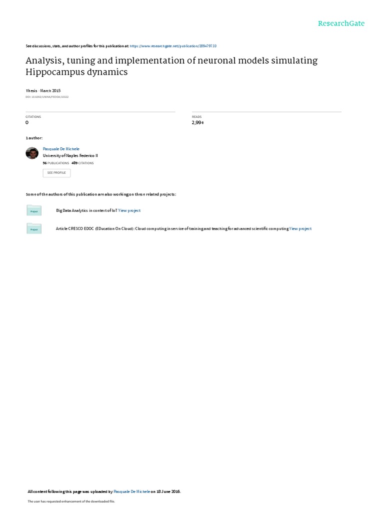 Analysis, Tuning and Implementation of Neuronal Models Simulating Hippocampus Dynamics | PDF ...