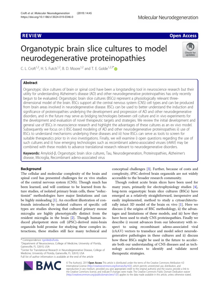 Cloft Et Al - 2019 - Organotypic Brain Slice Cultures To Model ...