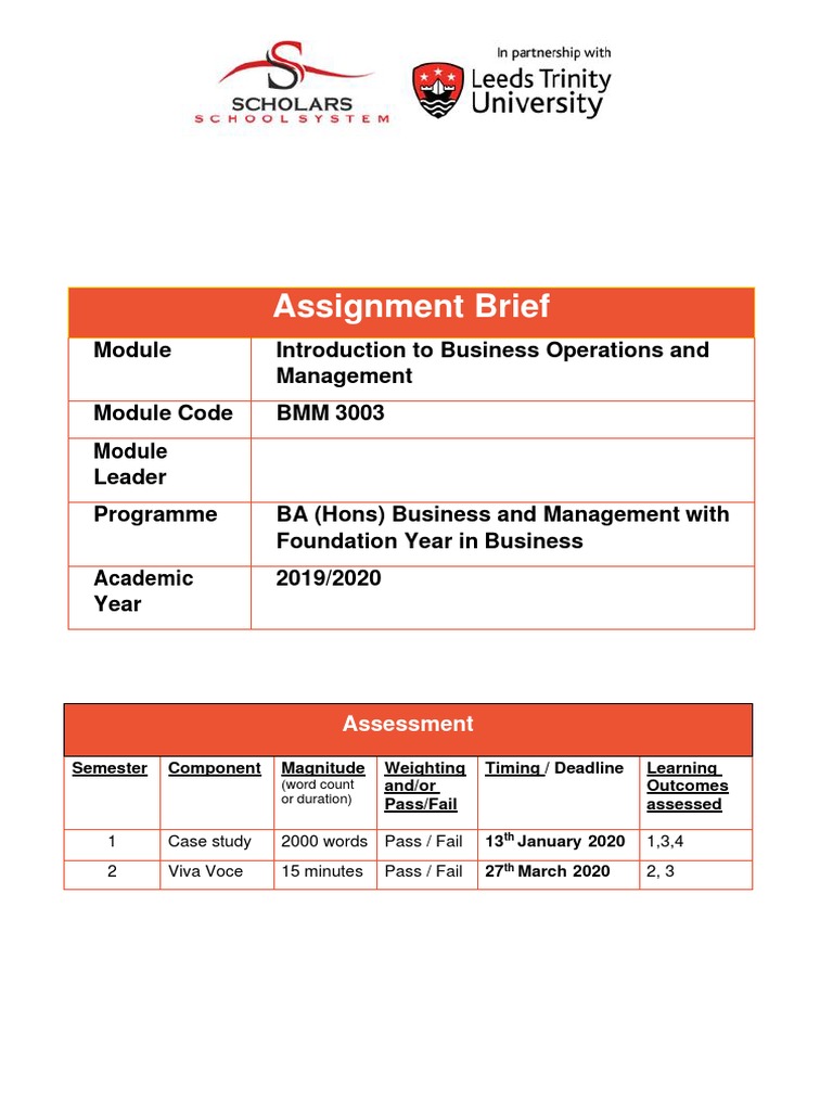 BMM 3003 - Assignment Brief | PDF | Plagiarism | Learning