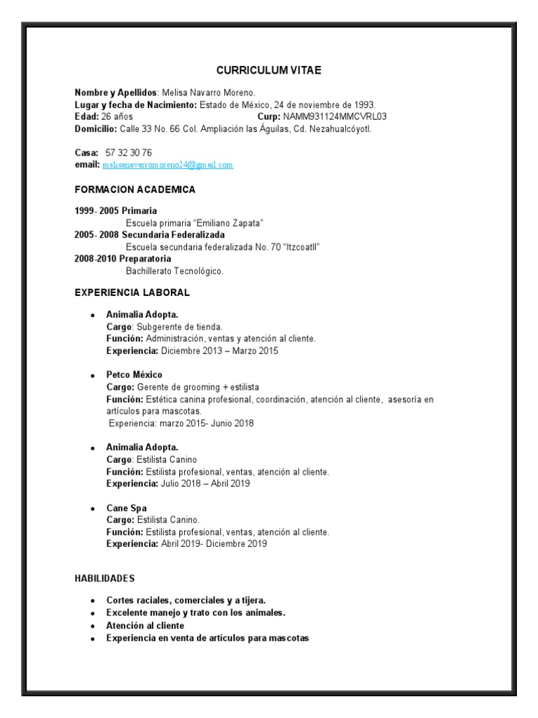 CURRICULUM Melisa | PDF