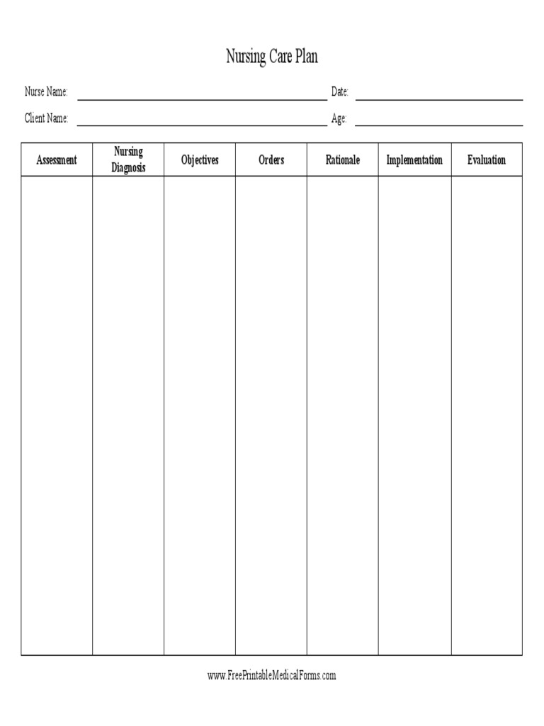 Nursing Care Plan PDF | PDF