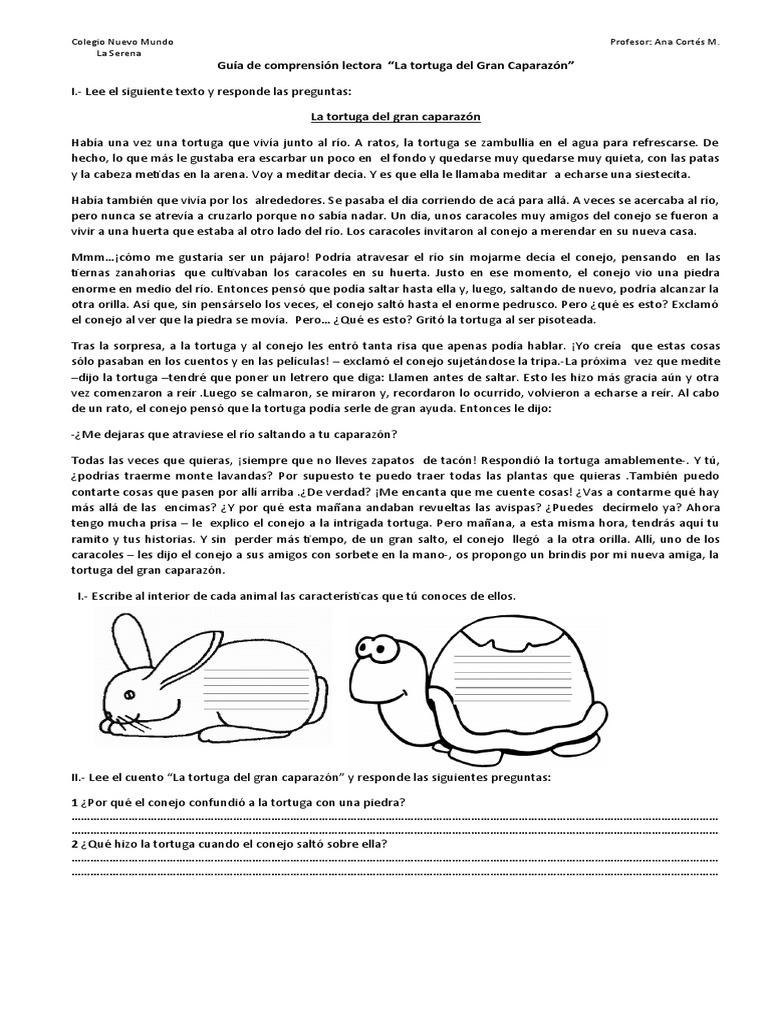 Guía de Comprensión Lectora - La Tortuga Del Gran Caparazón | PDF