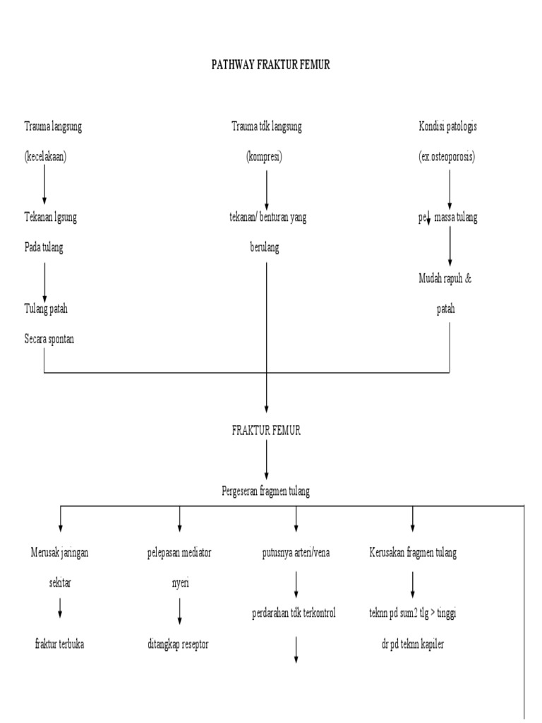 Pathway Fraktur Femur | PDF