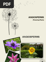 Amoeba Sisters Video Recap of Plant Reproduction in Angiosperms | PDF