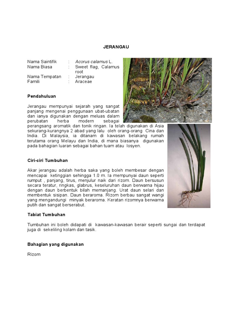 Jerangau BM PDF | PDF