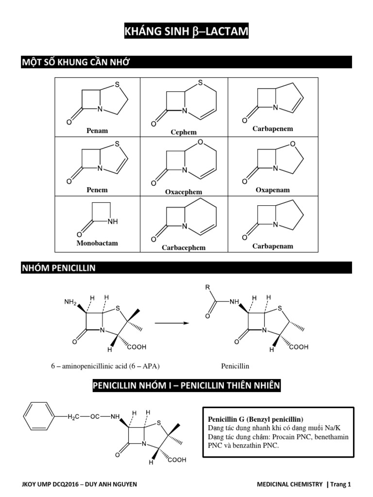 Betalactam Antibiotics Duy Anh Jkoy | PDF