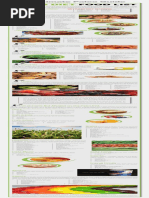 OPTAVIA-Vegetarian Conversion Chart | PDF | Weight | Leaf Vegetable