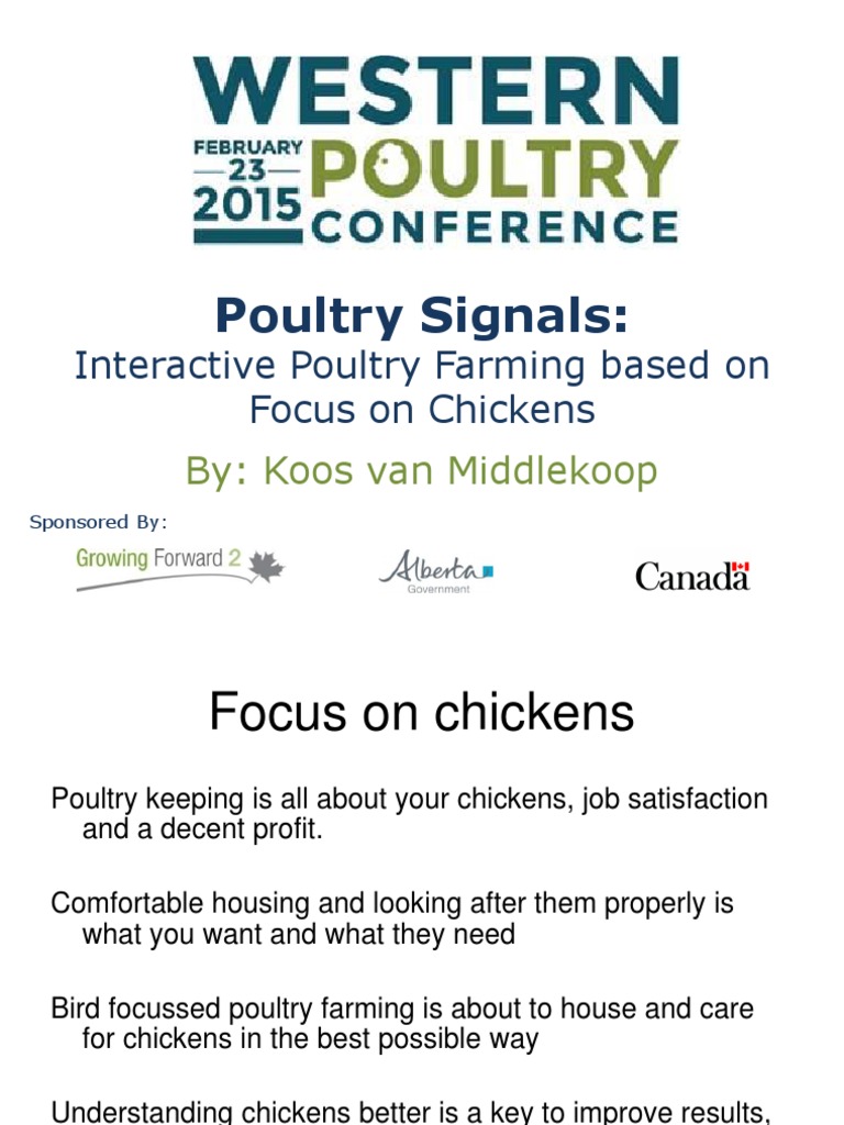 Poultry Signals | PDF | Chicken | Egg