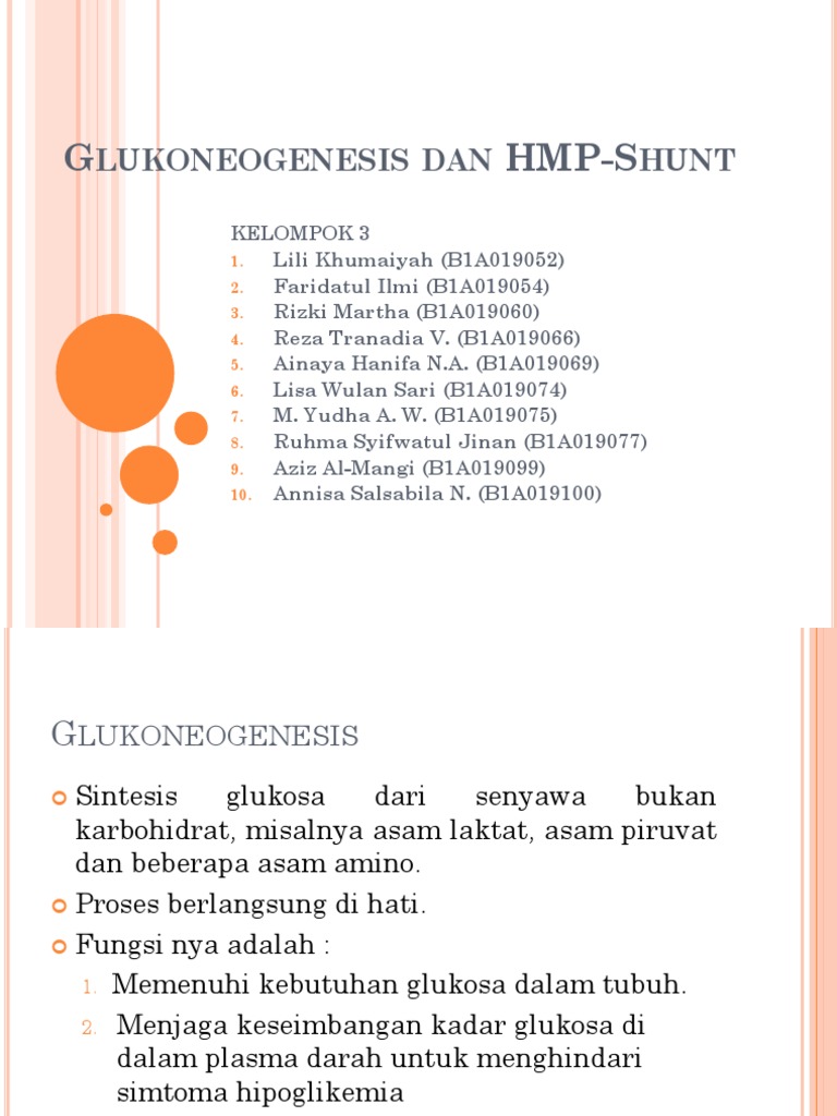 Glukoneogenesis Dan HMP-Shunt | PDF