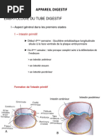 Anatomie Topographique de La Cavité Abdominale Et Péritonéale | PDF ...