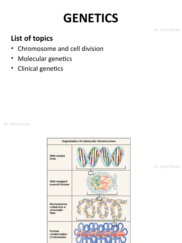 Genetics: List of Topics | PDF | Zygosity | Genetics