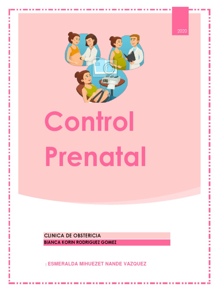 Control Prenatal | PDF | El embarazo | Salud pública