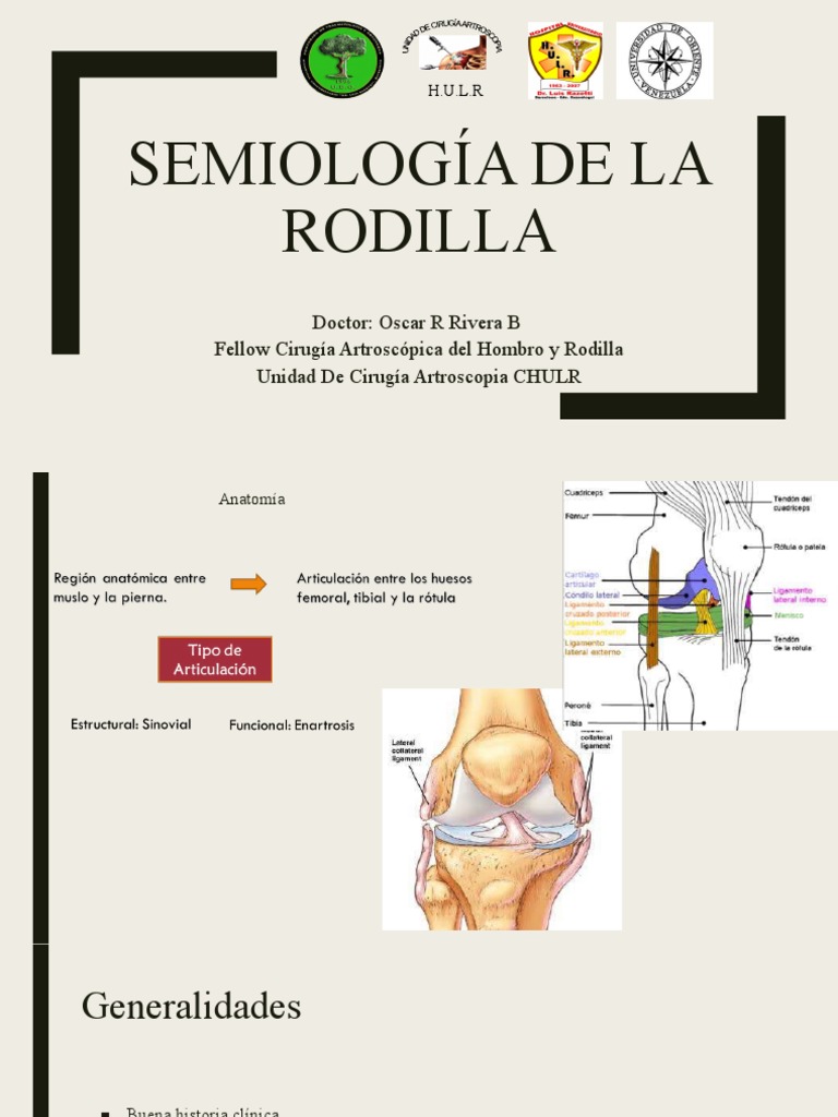 Semiología de la Rodilla: Signos y Maniobras | PDF | Rodilla | Anatomía ...