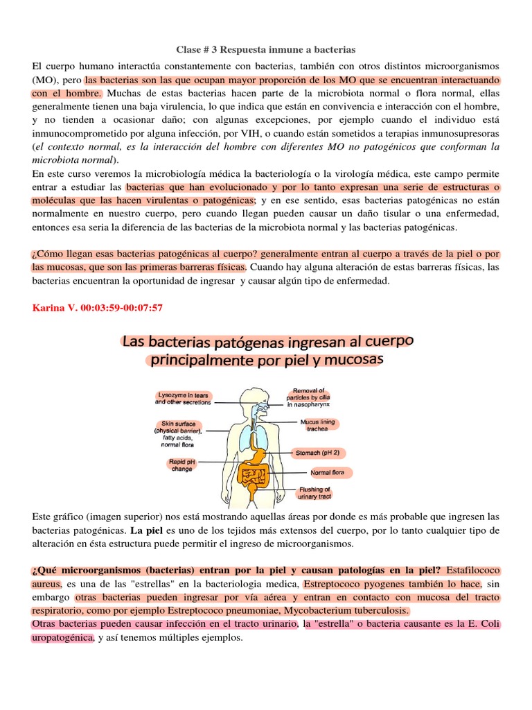 Respuesta Inmune A Bacterias - BP PDF | PDF | Sistema inmune | Sistema complementario