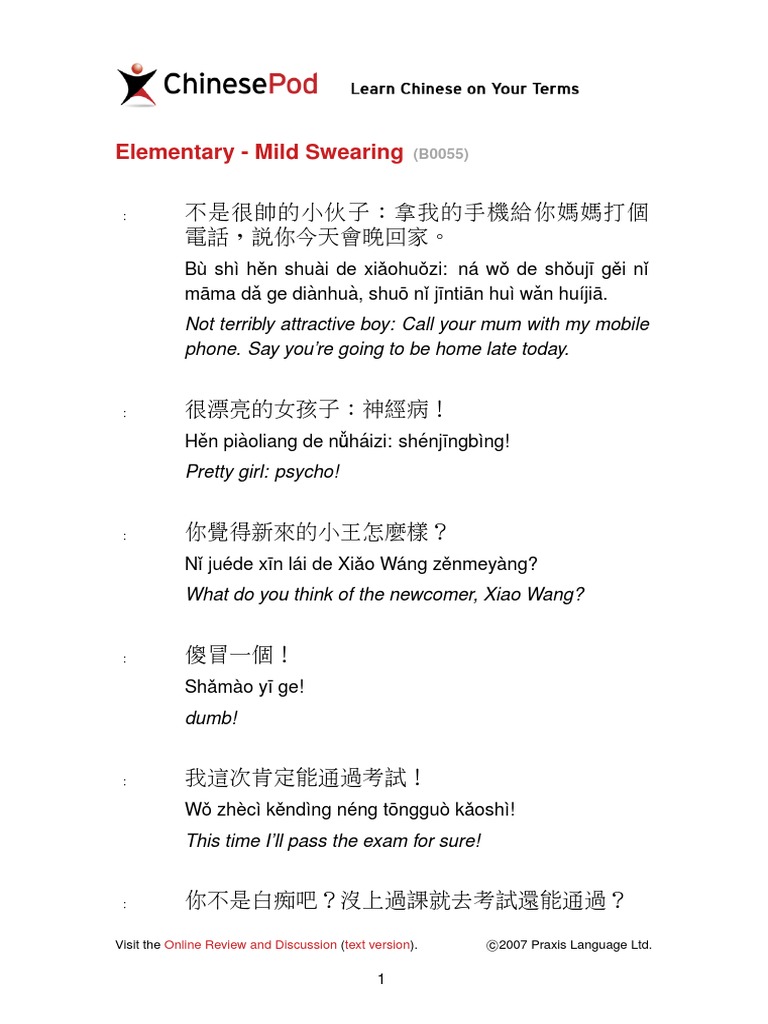 Elementary - Mild Swearing: Visit The - C 2007 Praxis Language LTD | PDF