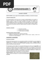 Los Mapas Descriptivos | PDF | Mapa | Lingüística