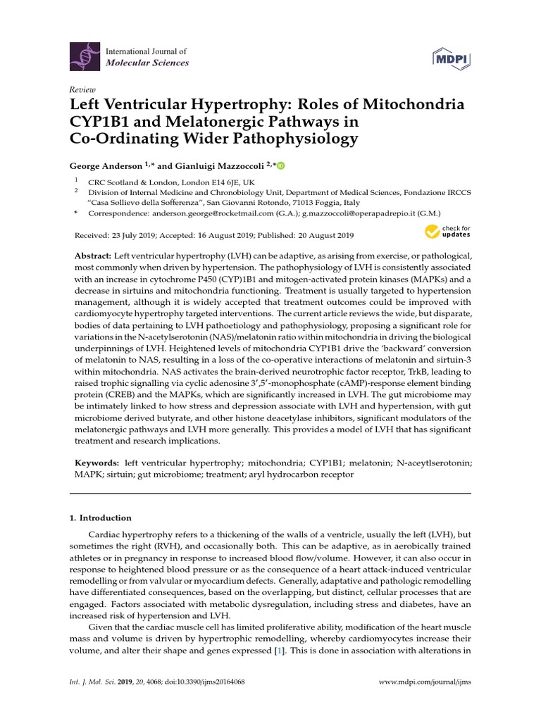 Left Ventricular Hypertrophy: Roles of Mitochondria CYP1B1 and ...