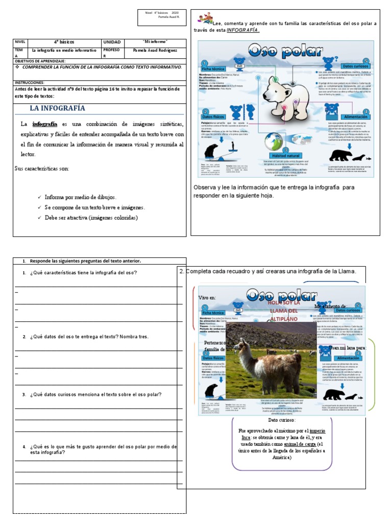 Guía Infografía Oso Formato | PDF | Infografia | Cognición