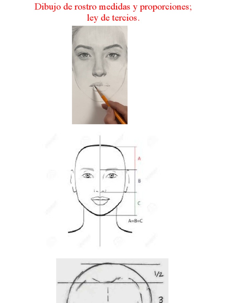 Dibujo de Rostro Medidas y Proporciones | PDF