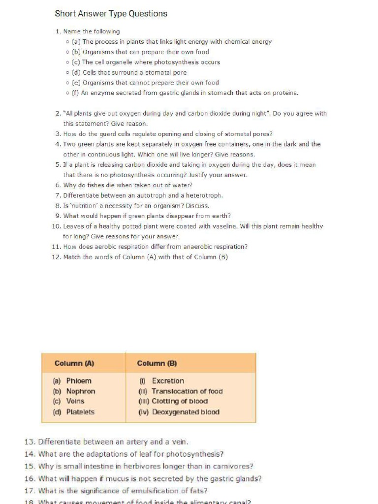 Important Questions For Class 10 Science Chapter 6 Life Processes | PDF