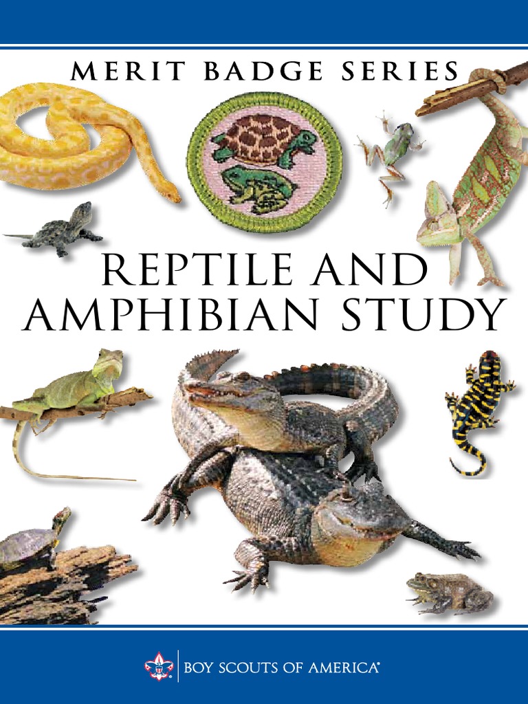 Reptile and Amphibian Study Merit Badge Pamphlet 35941 PDF | PDF ...