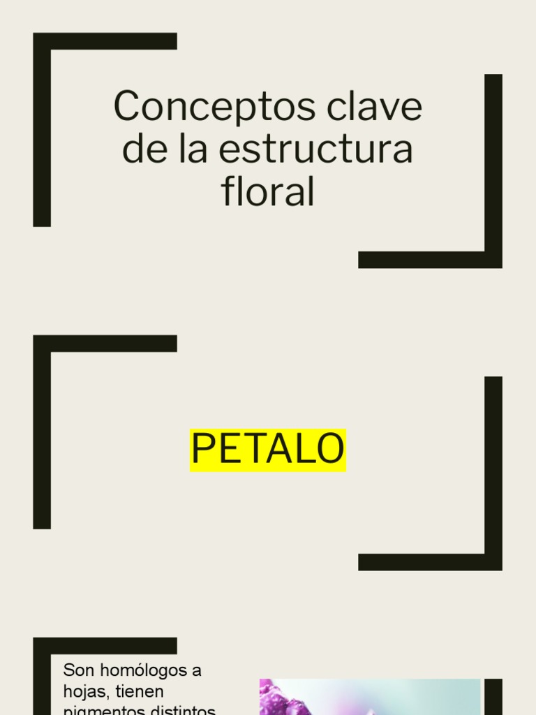 Conceptos Clave de La Estructura Floral | PDF | Flores | Reproducción