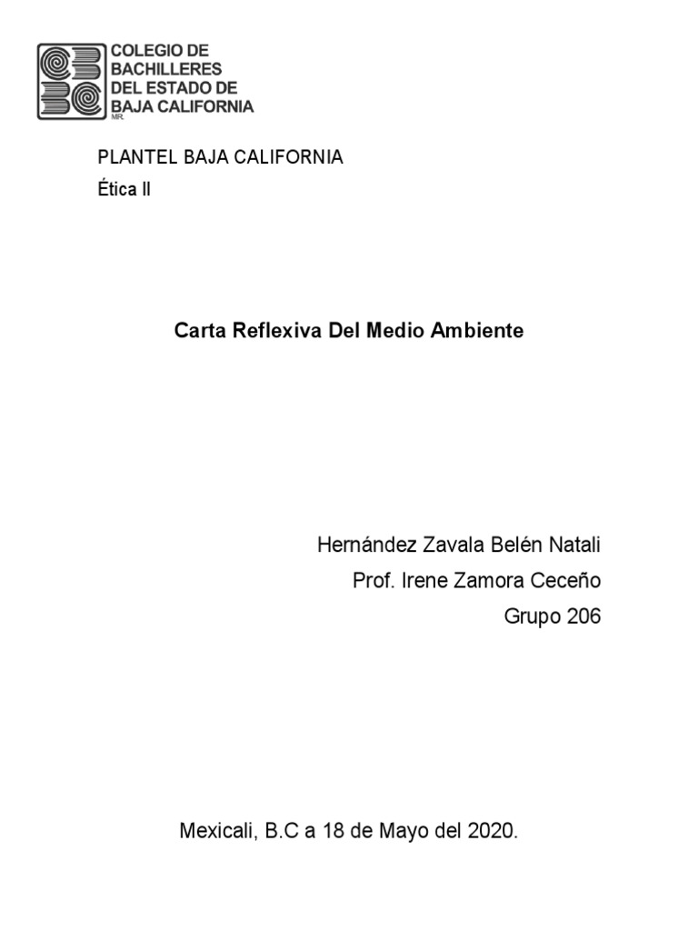 Carta Reflexiva Del Medio Ambiente | Descargar gratis PDF | Entorno ...