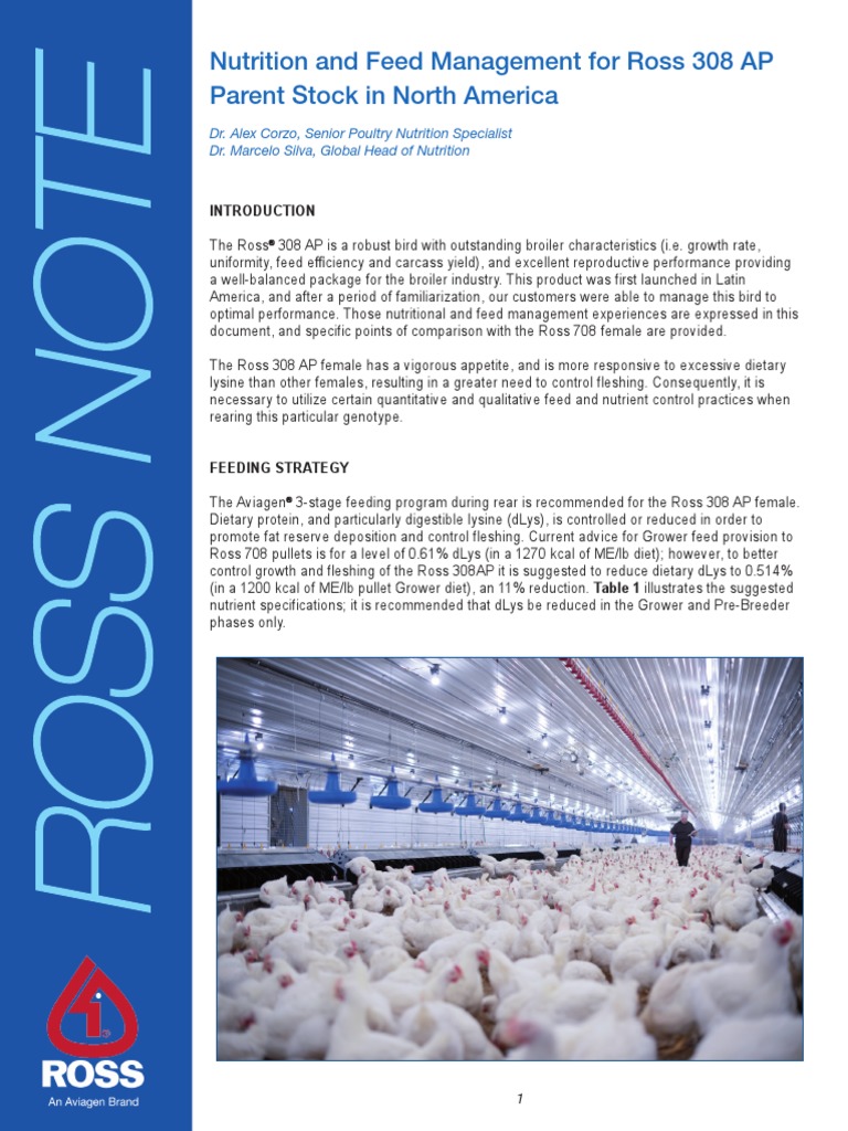Nutrition and Feed Management For Ross 308 AP Parent Stock in North ...